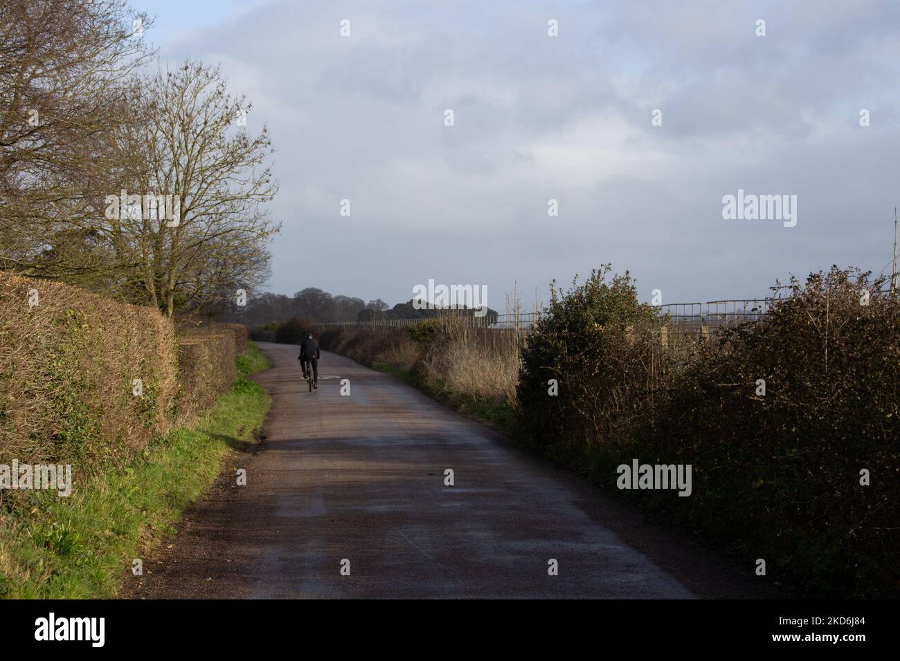 shared-use path with cyclist and hedges on the sides with a cloudy blue ...