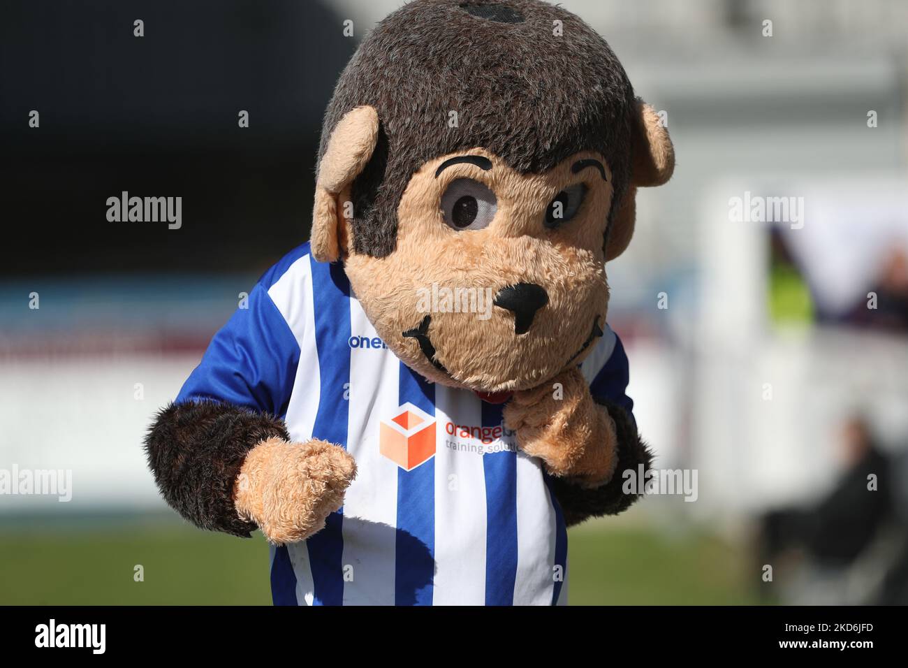 H'angus the Hartlepool United mascot during the Sky Bet League 2 match ...