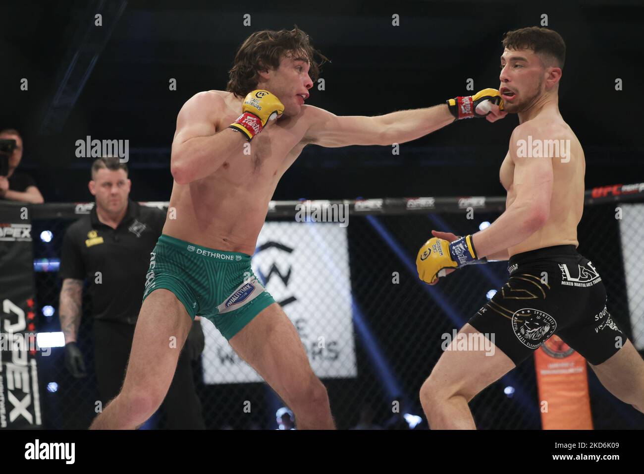 Pat riley hi-res stock photography and images - Alamy