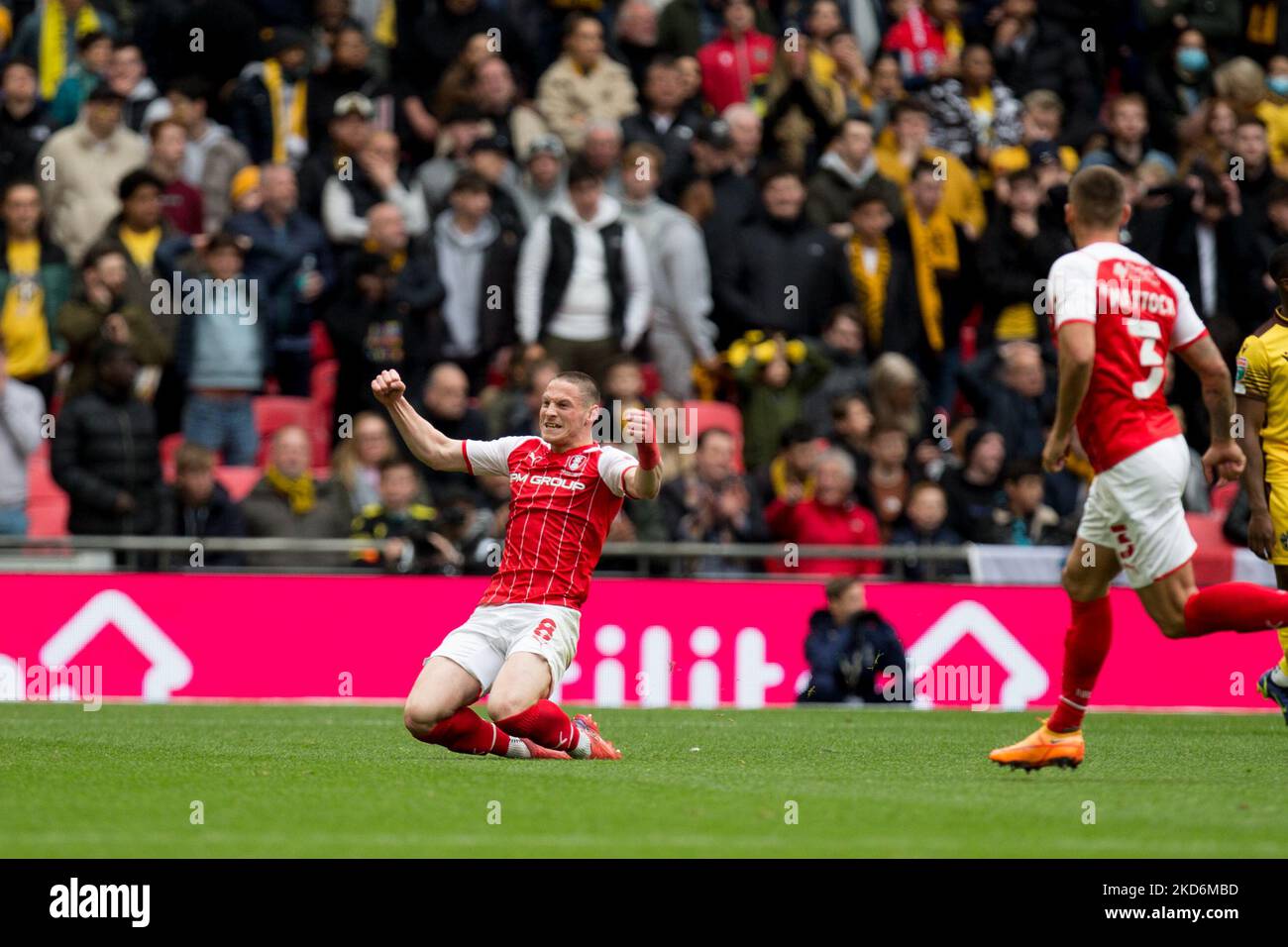 Ben wiles papa hi-res stock photography and images - Alamy