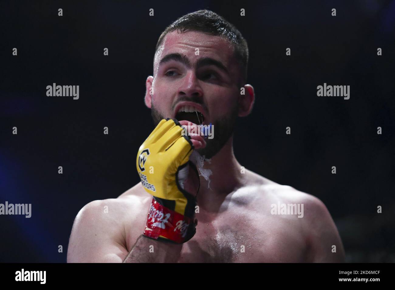 Hugo Guillon pictured during his light heavyweight bout against Matty ...