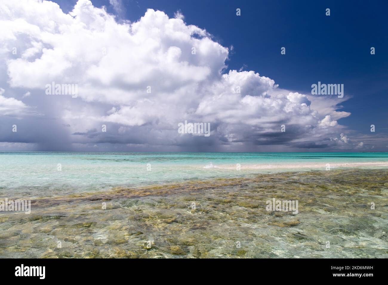 The sunny beach of Los Roques Venezuela Stock Photo - Alamy