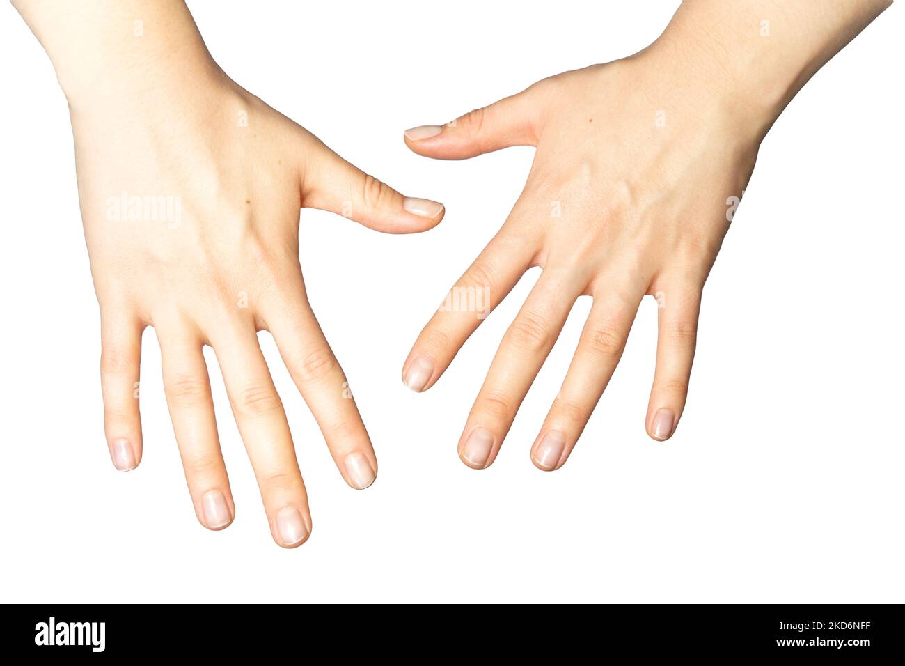 Female Hands in front of white background Stock Photo - Alamy