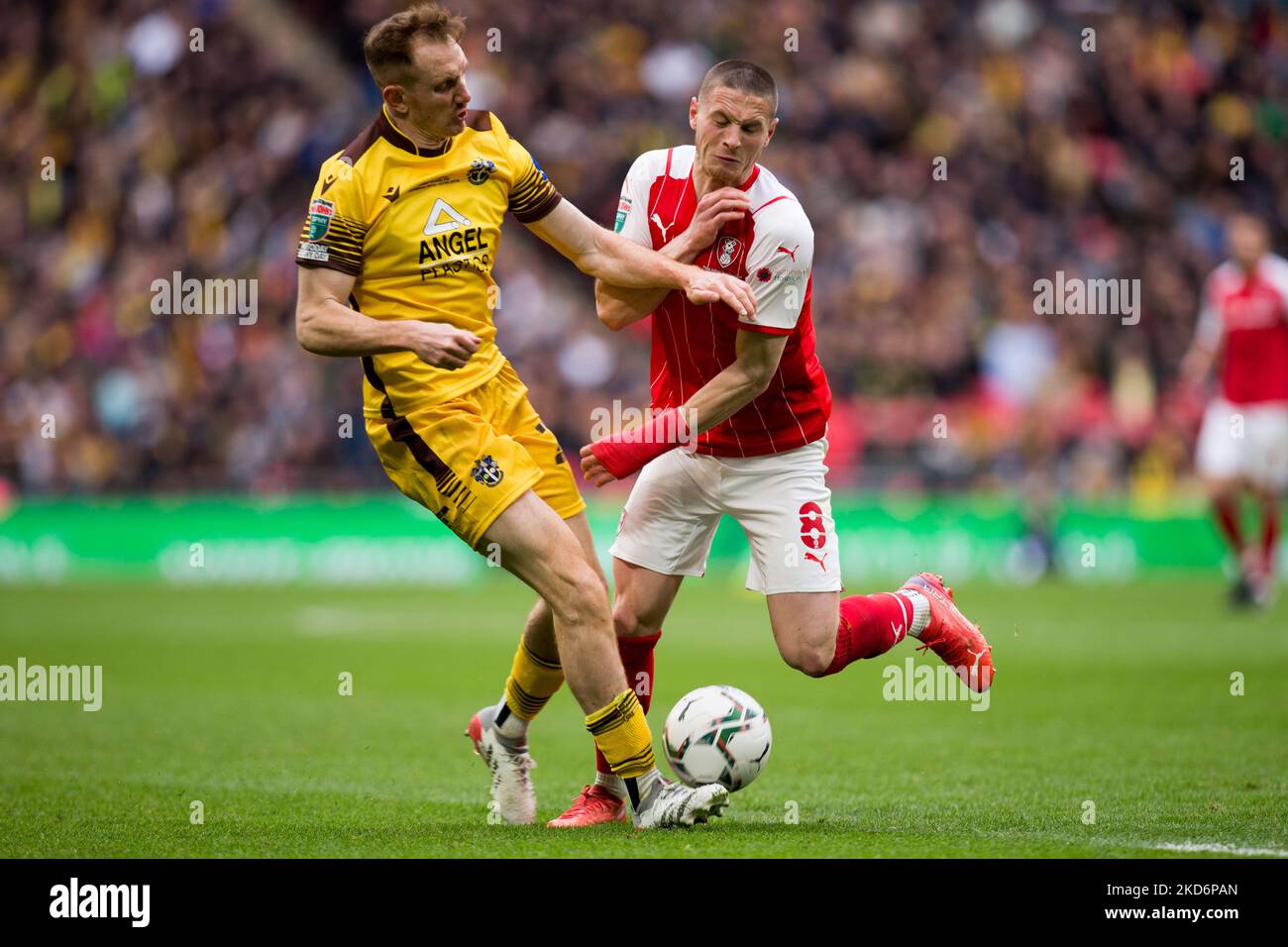 Ben wiles papa hi-res stock photography and images - Alamy