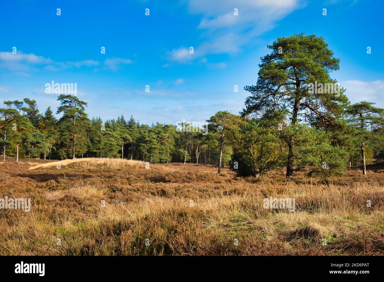 Beaker people burial hi-res stock photography and images - Alamy