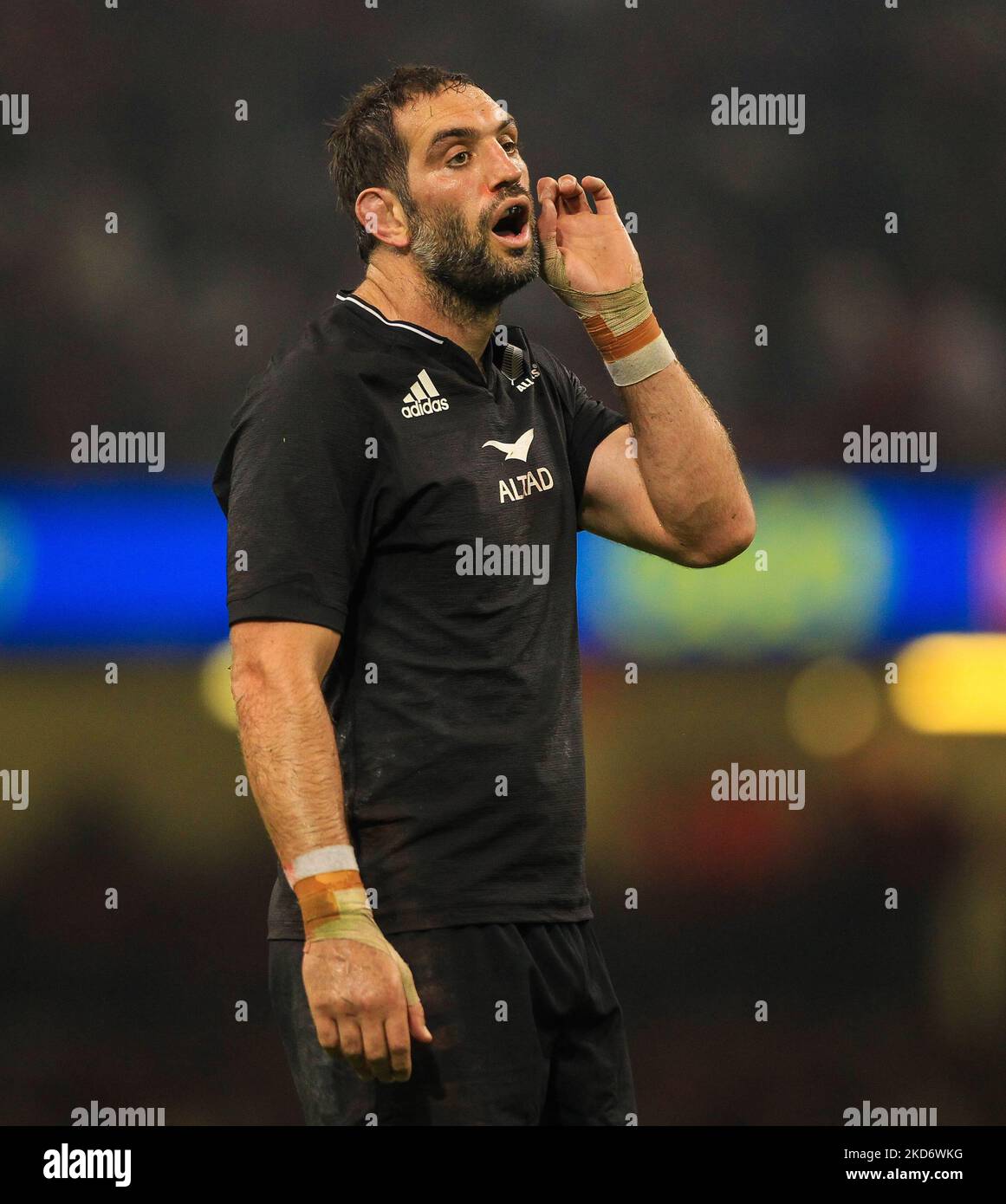 5th November 2022; Principality Stadium, Cardiff, Wales: Autumn Series ...