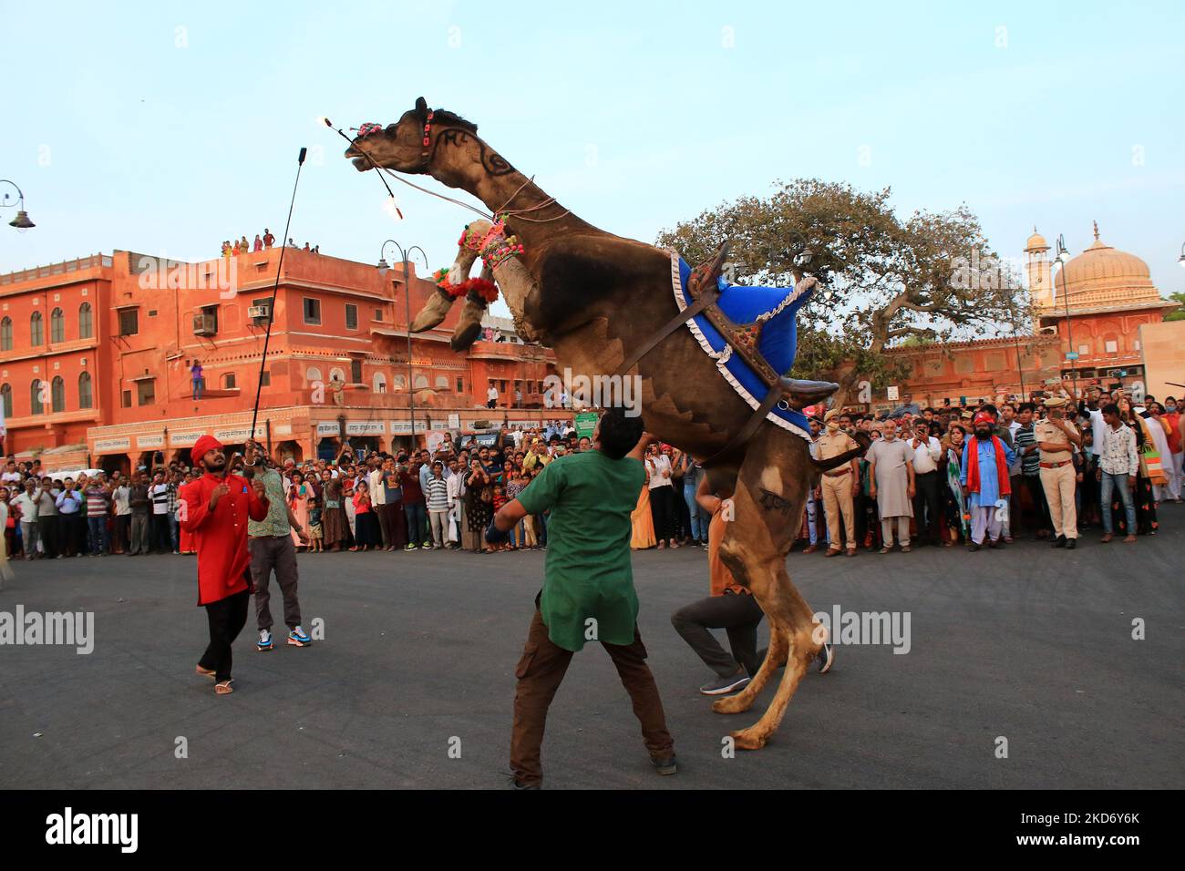 Gangur festival hi-res stock photography and images - Alamy