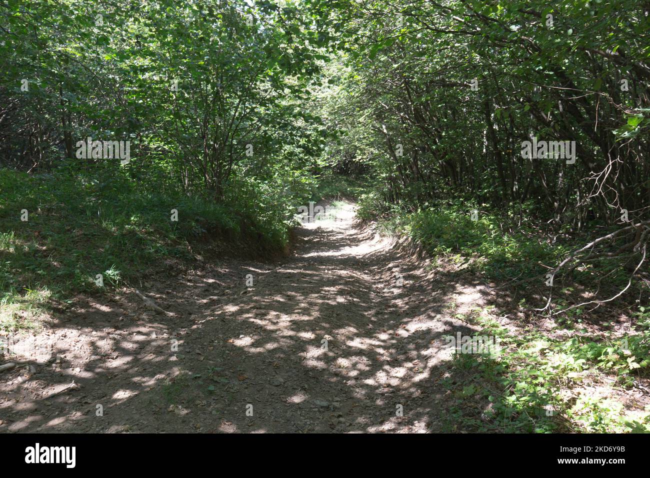 Pilgrimage route to rome hi-res stock photography and images - Alamy