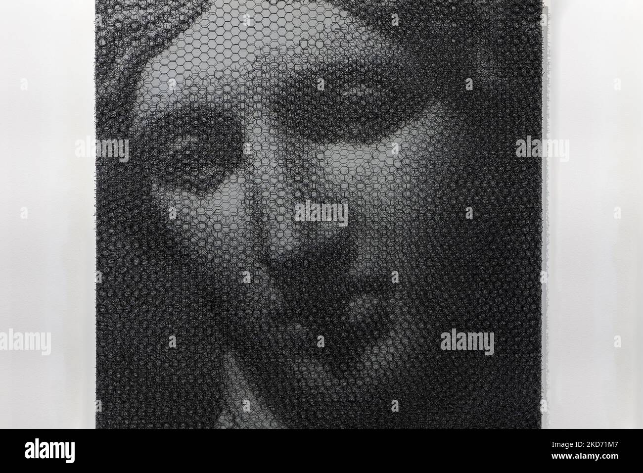 Female Portrait made with Overlapping Twisted Wire Mesh Stock Photo - Alamy