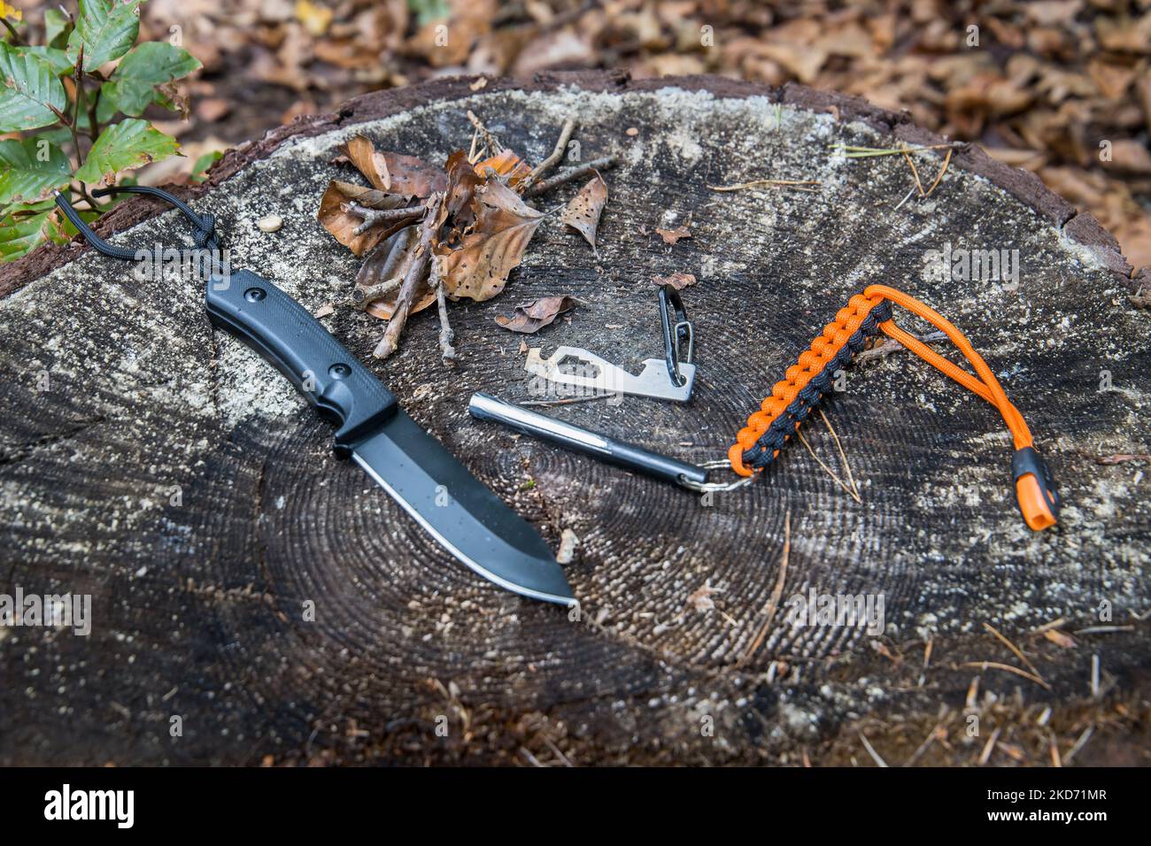 Essential survival tools on a tree stump in the woods Stock Photo - Alamy