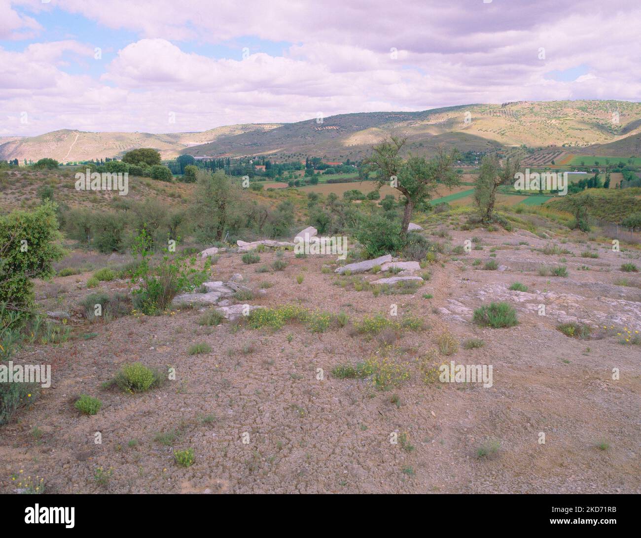 ASENTAMIENTO DE LA NECROPOLIS VISIGODA DEL CERRO DE CABEZA GORDA - S VI ...