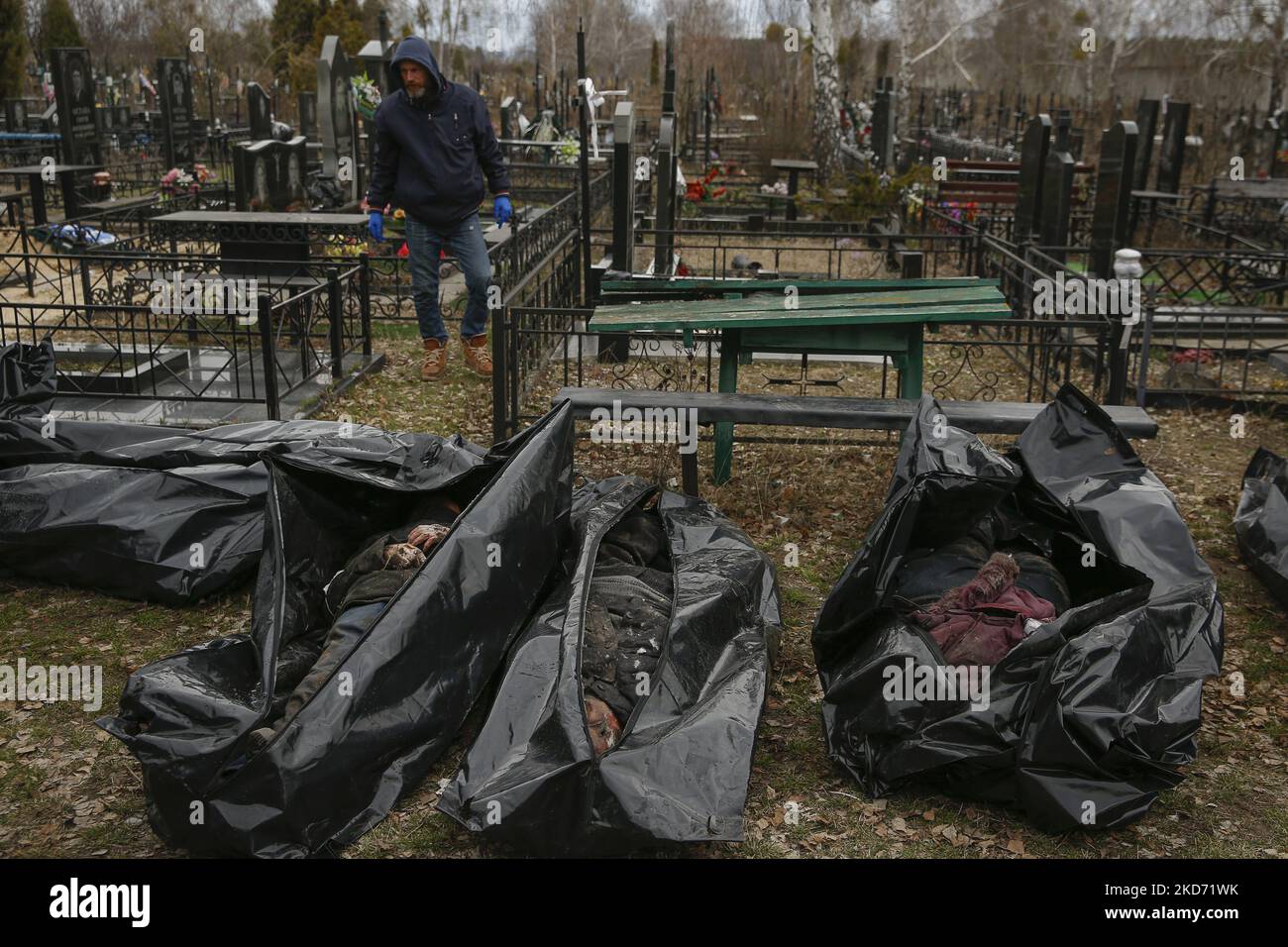 (EDITORS NOTE: Image contains graphic content) A view of the corpse of ...