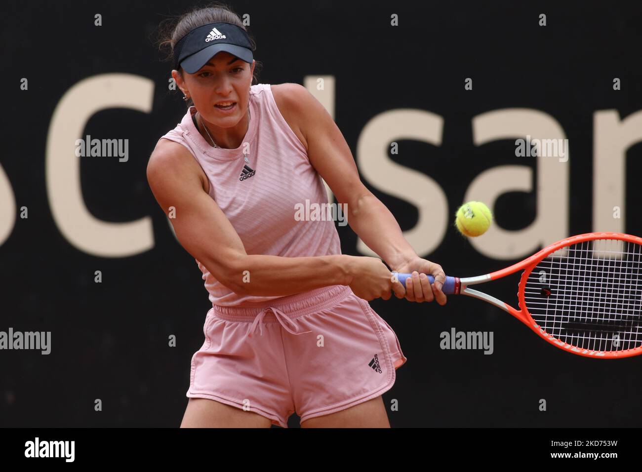 Elina avanesyan hi-res stock photography and images - Alamy