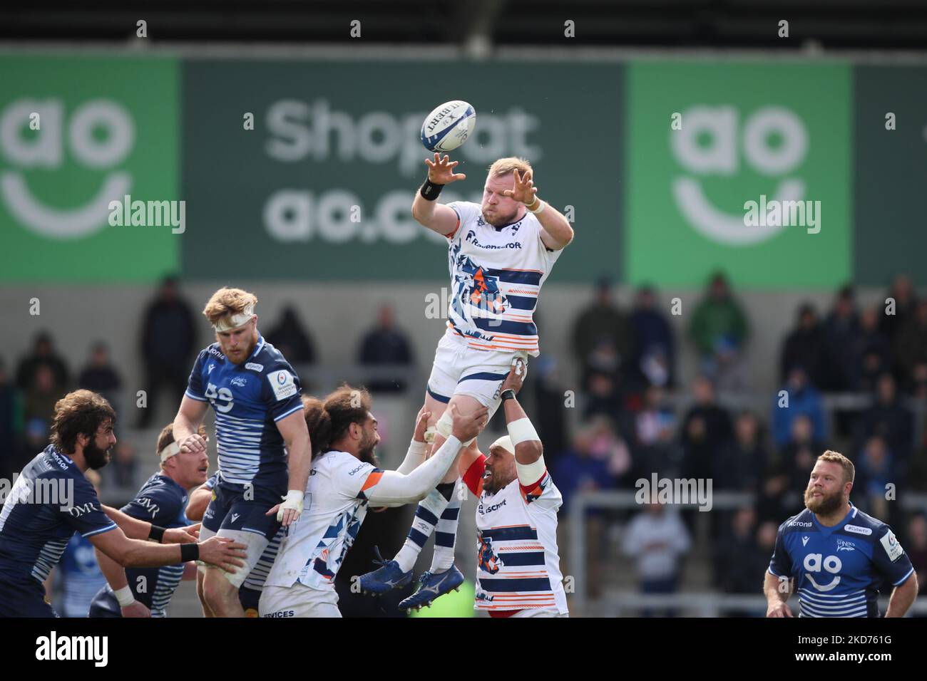 Bristol wins the line out during the European Champions Cup match ...