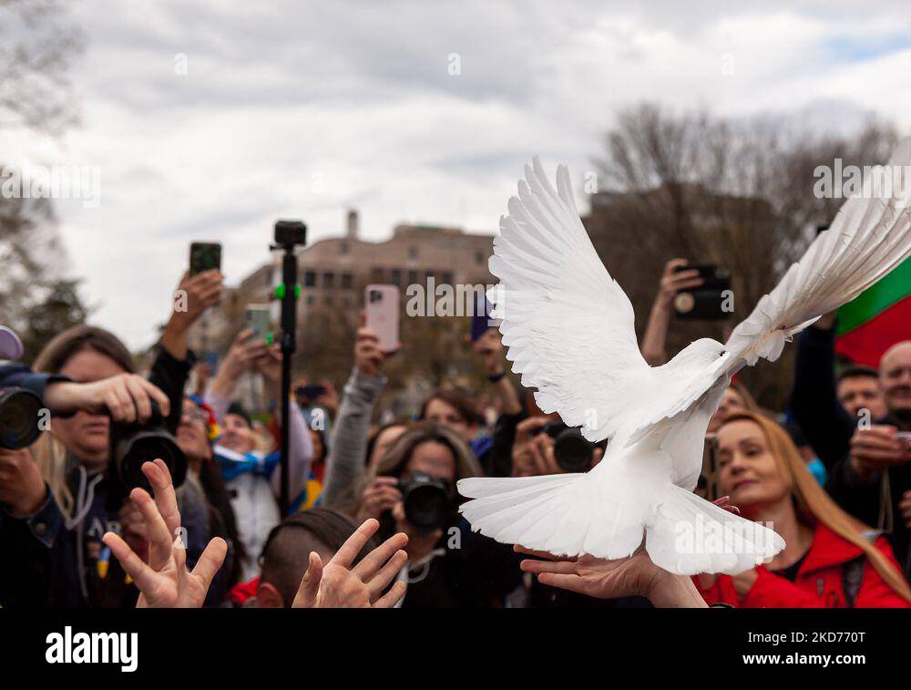 Protesters release a white dove, a symbol of peace, during a rally at ...
