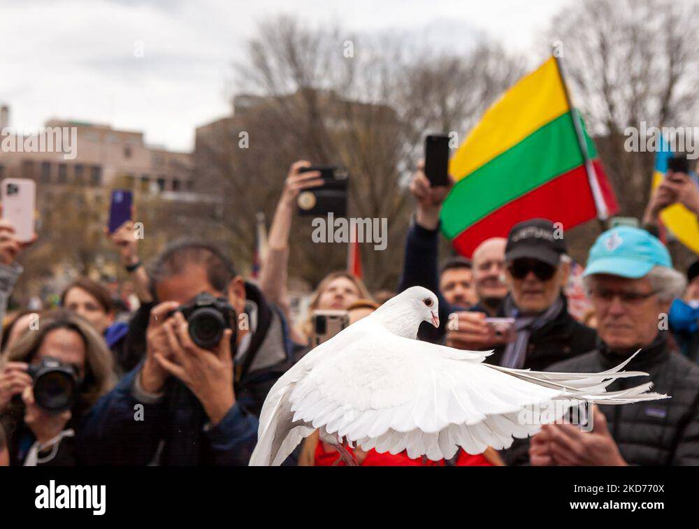 during a rally at the White House for Ukraine. Hundreds of people ...