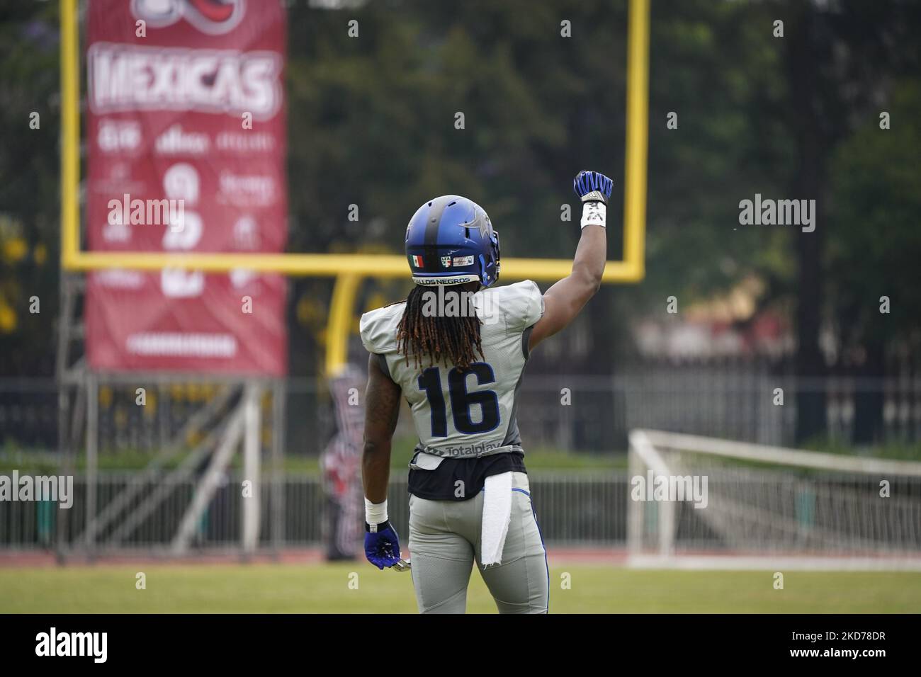 Renaldo Nehemiah Football Hit