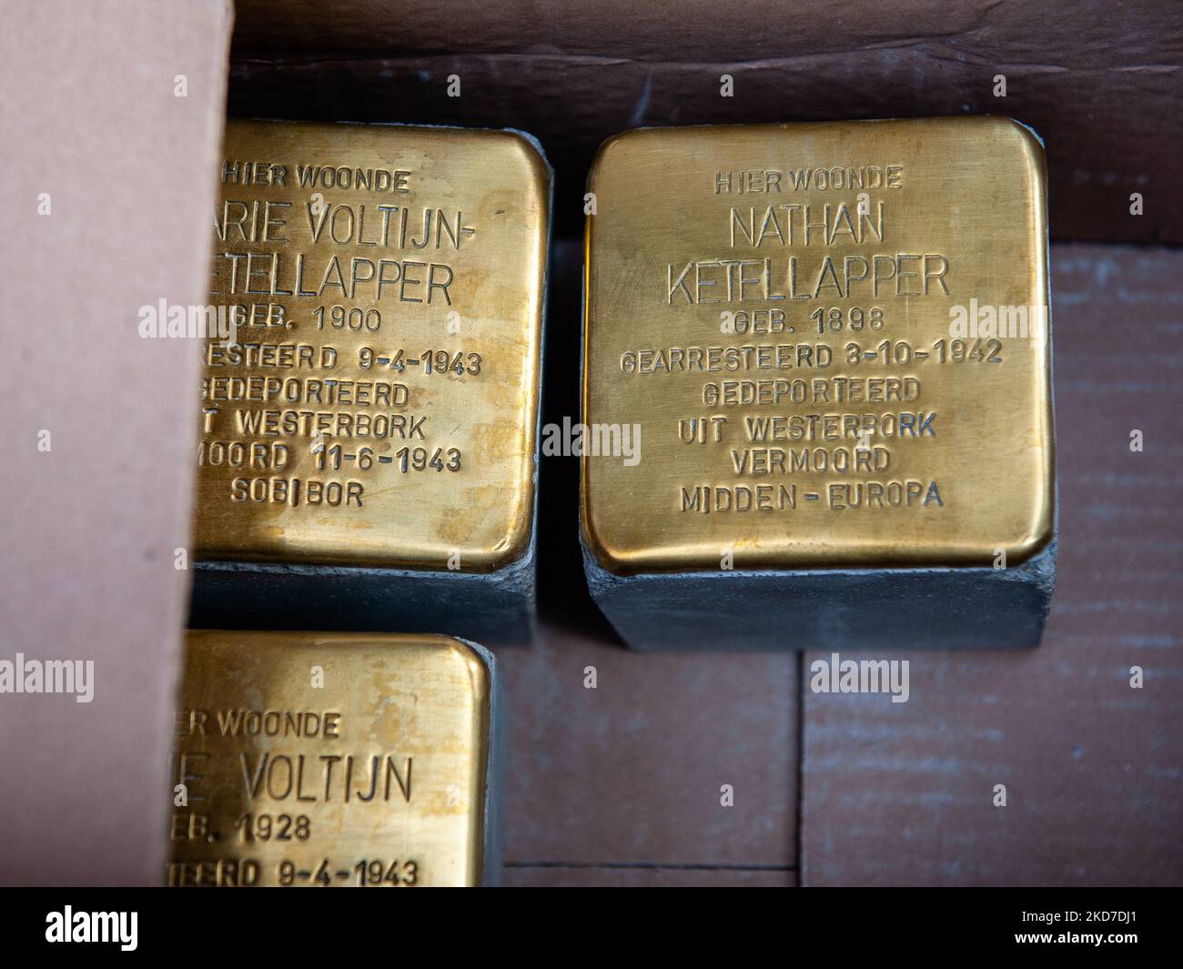 A view of the first Stolpersteine to remember the Jew victims of the ...