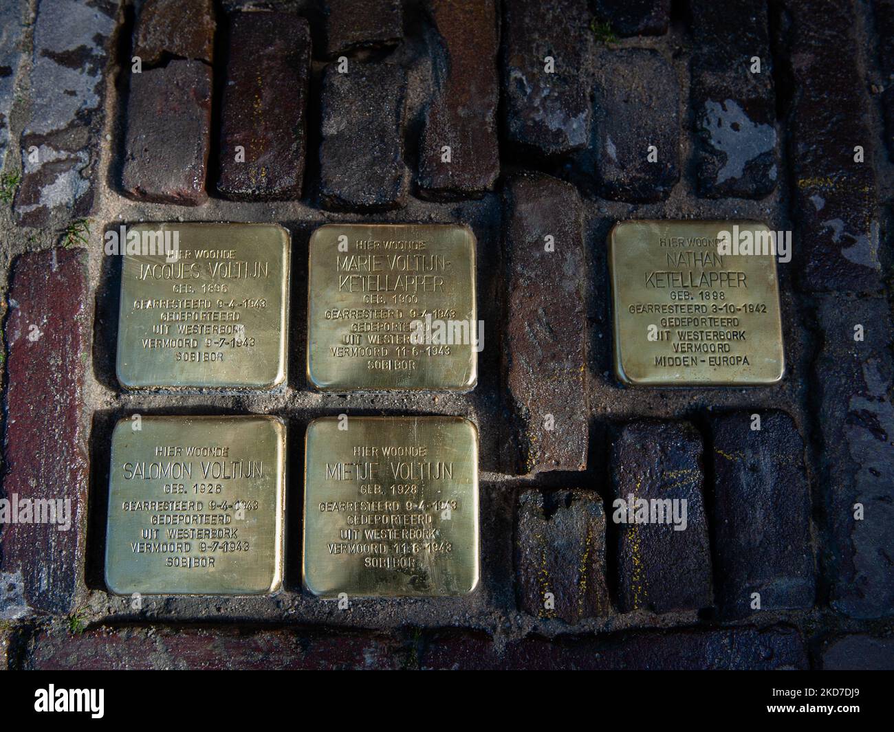 A view of the first Stolpersteine to remember the Jew victims of the ...