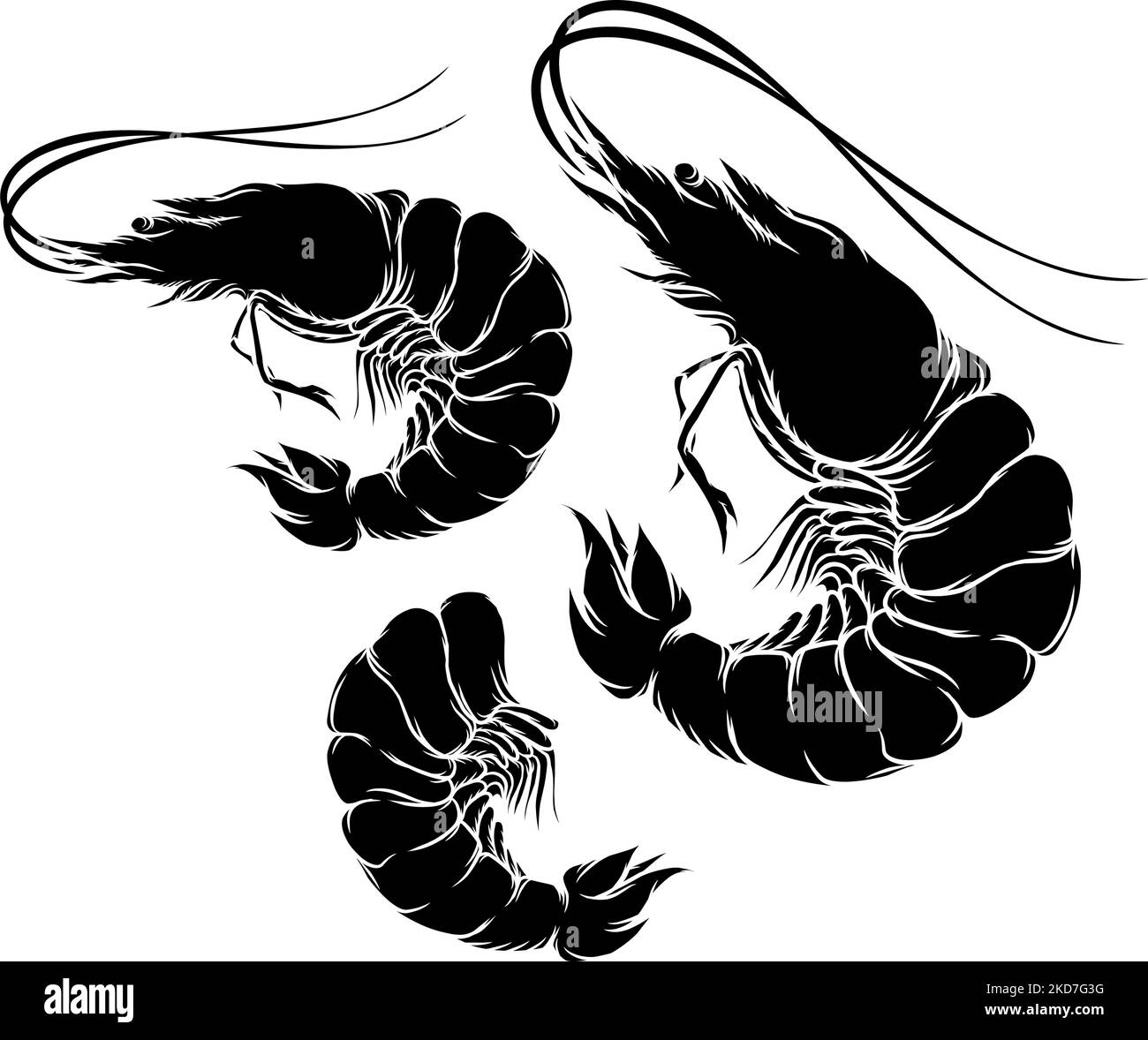 A vector illustration of shrimps on an isolated background Stock Vector ...
