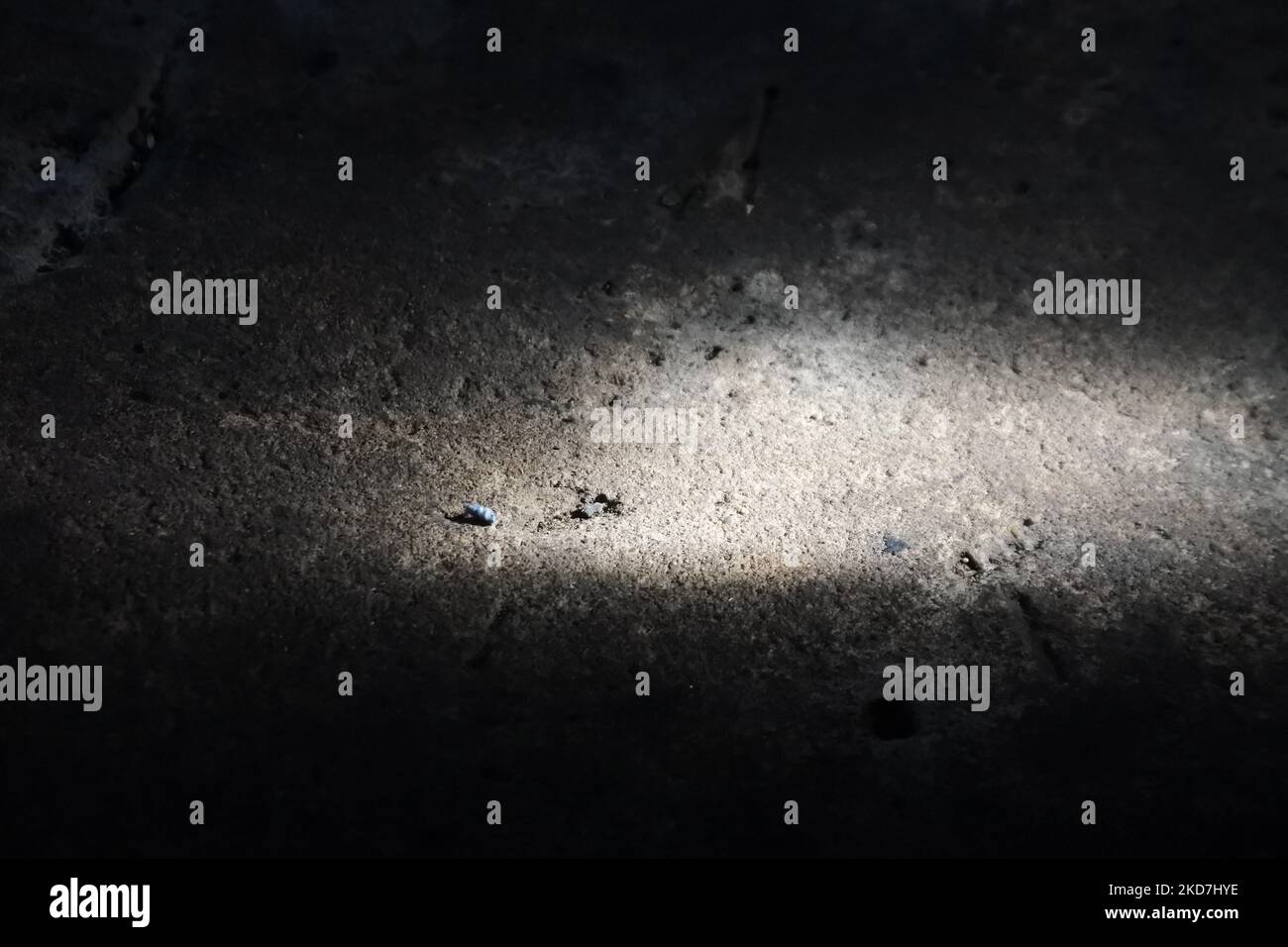 A stone ground surface with a small beam of light surrounded by ...