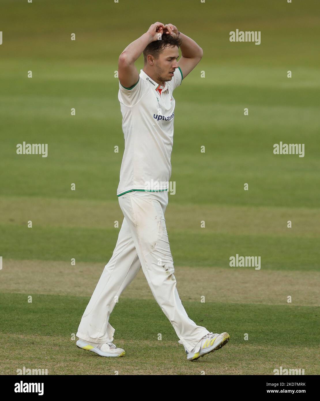 Cricket kimber louis hi-res stock photography and images - Alamy