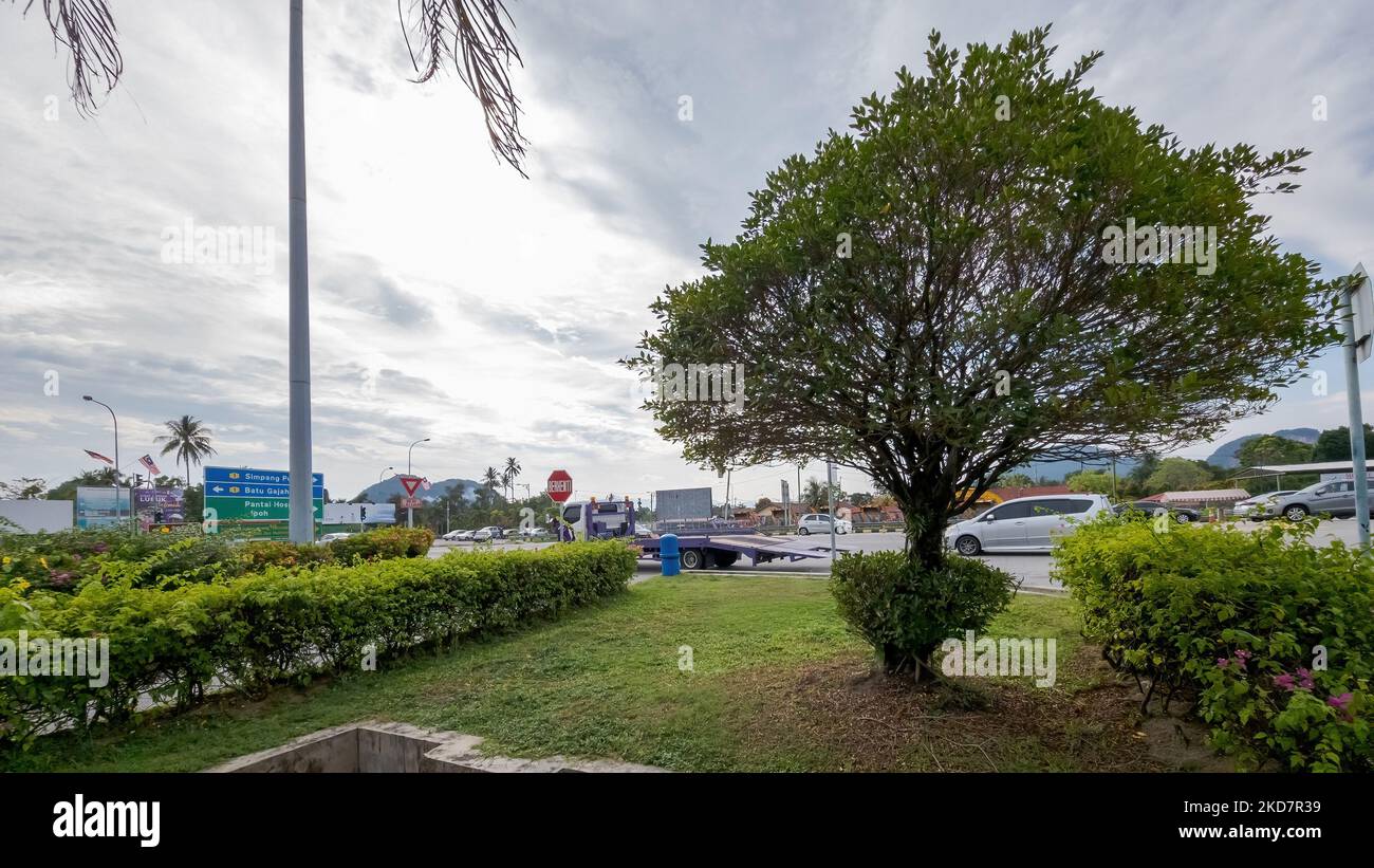 Simpang Pulai area with large tree and cars Stock Photo - Alamy