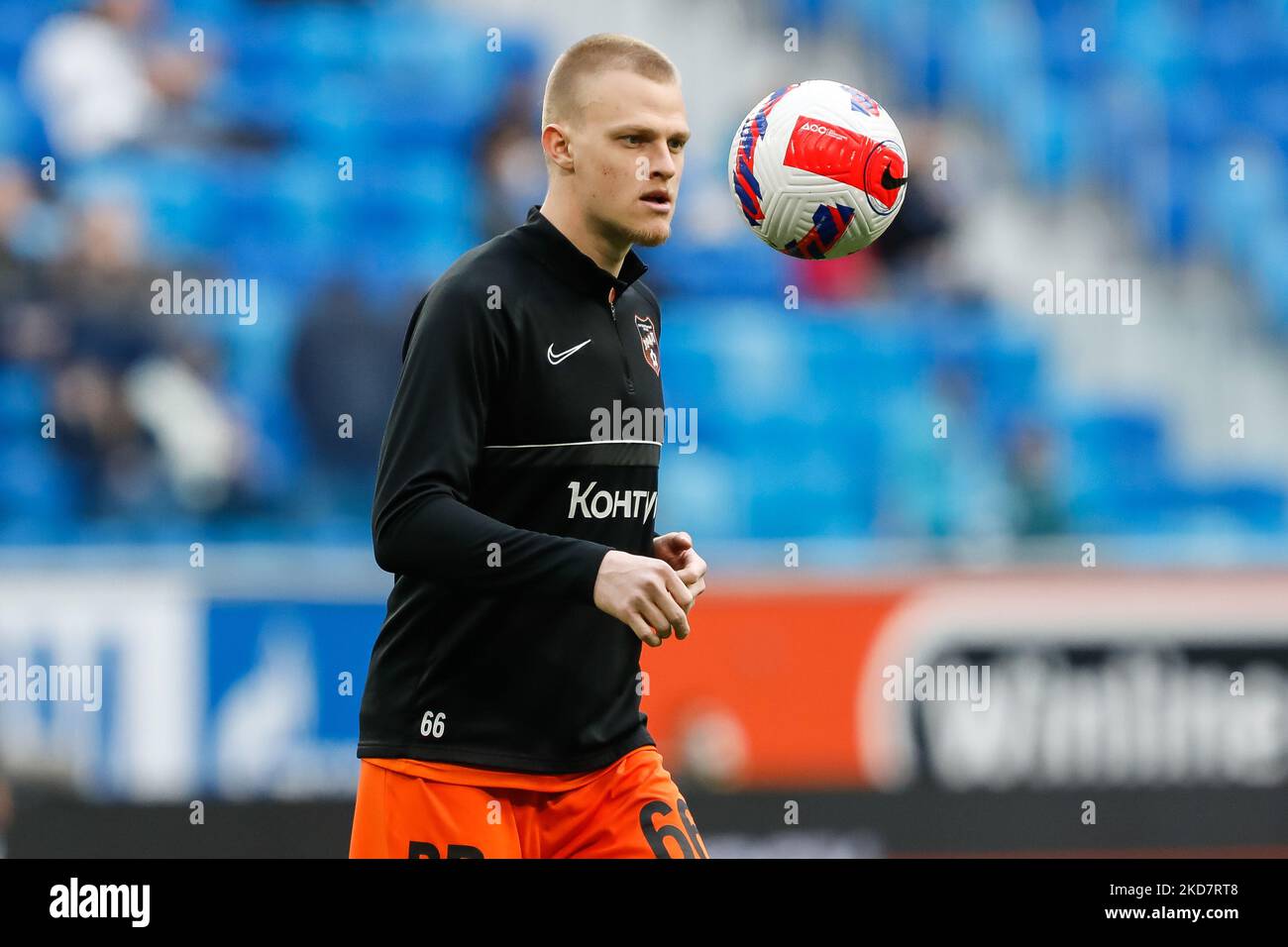 Dinga hi-res stock photography and images - Alamy