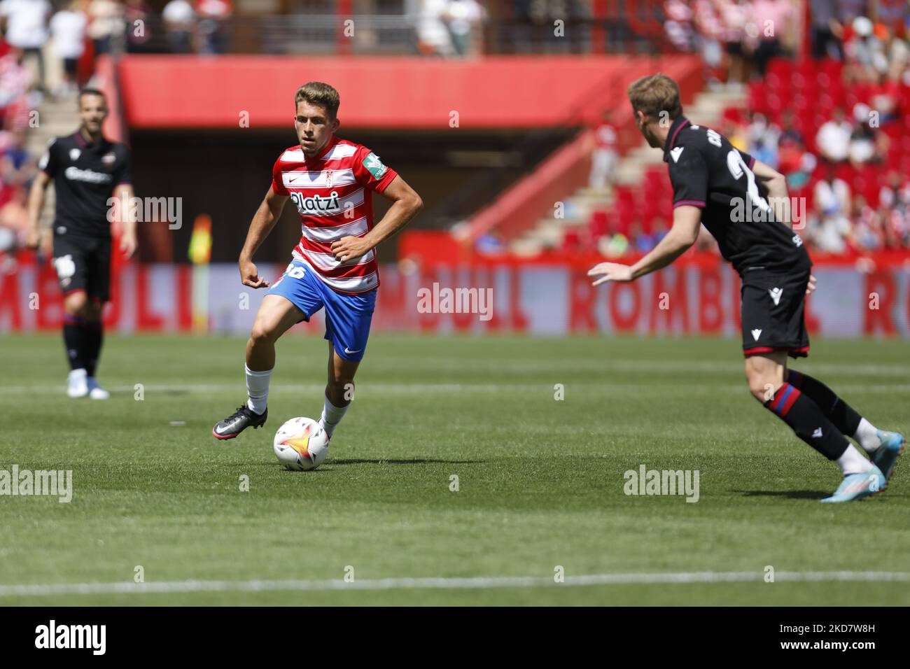 Isma ruiz hi-res stock photography and images - Alamy