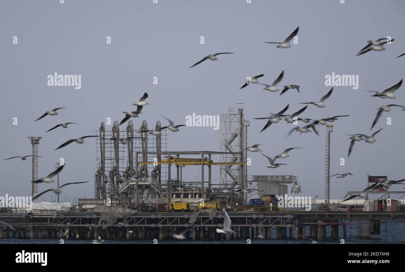 Seabirds fly over the sky as a view of the Kharg oil T pier is seen in ...