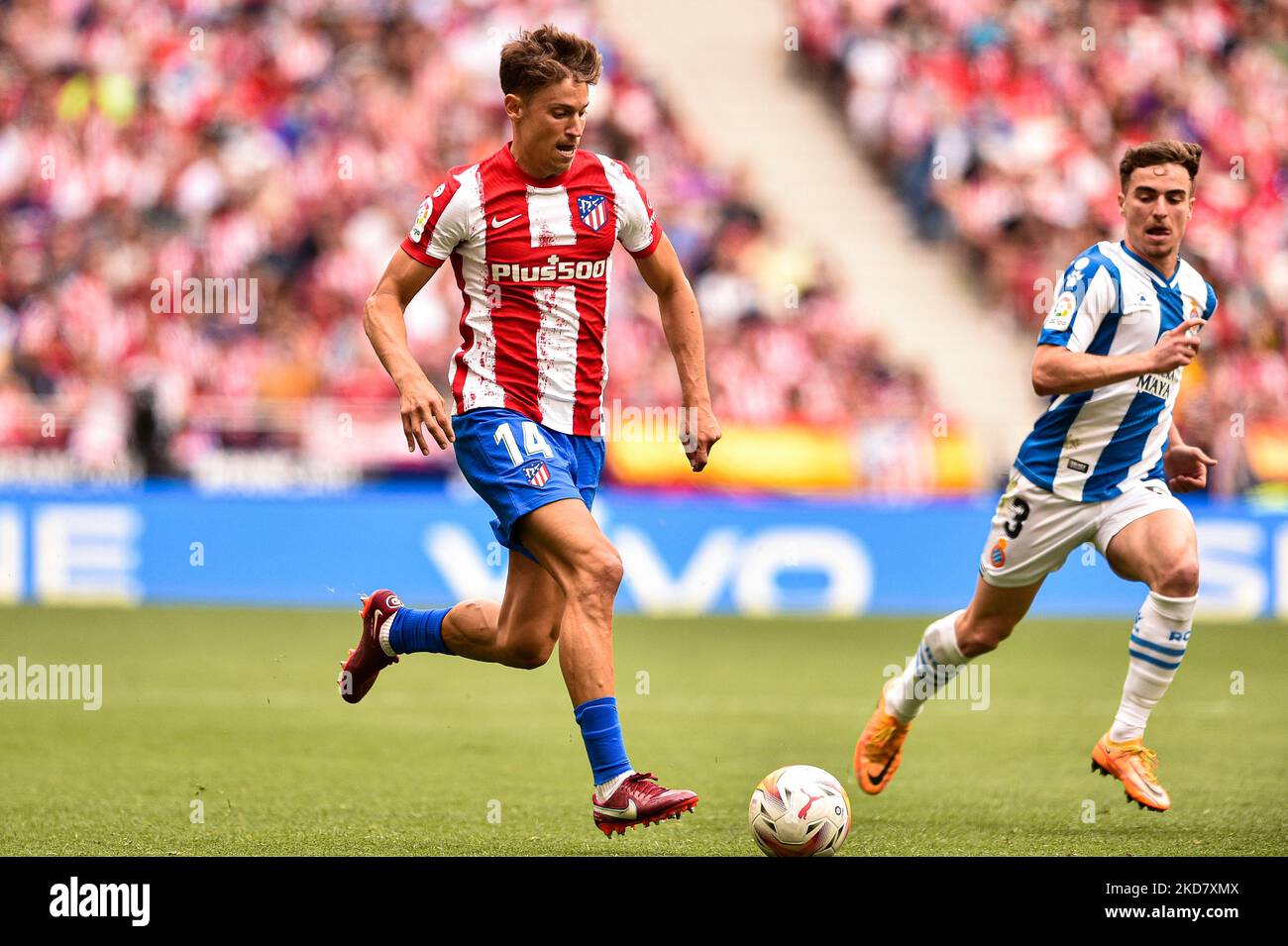 Marcos Llorente and Adria Pedrosa during La Liga match between Atletico ...