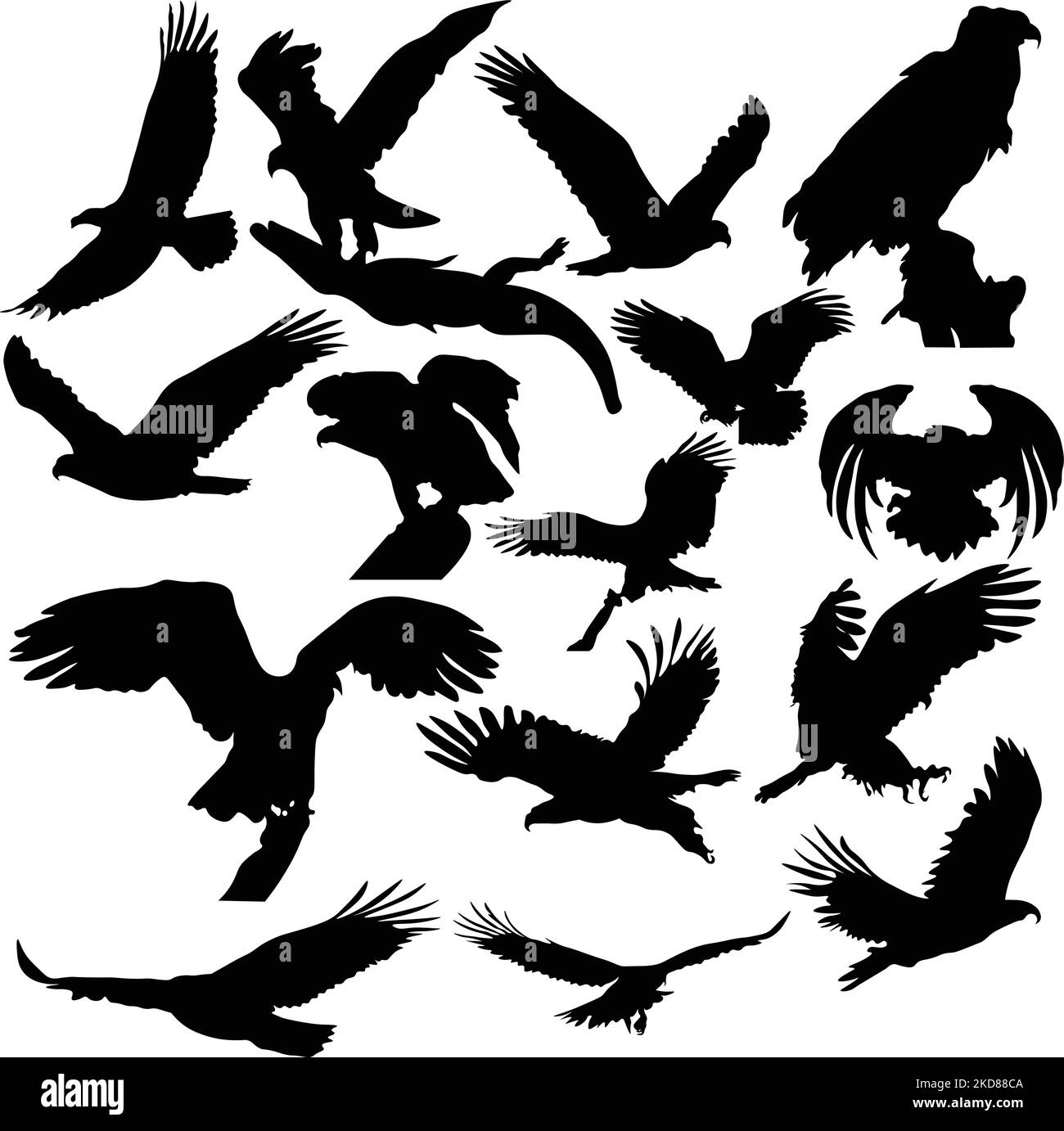 Sound of birds Stock Vector Images - Alamy