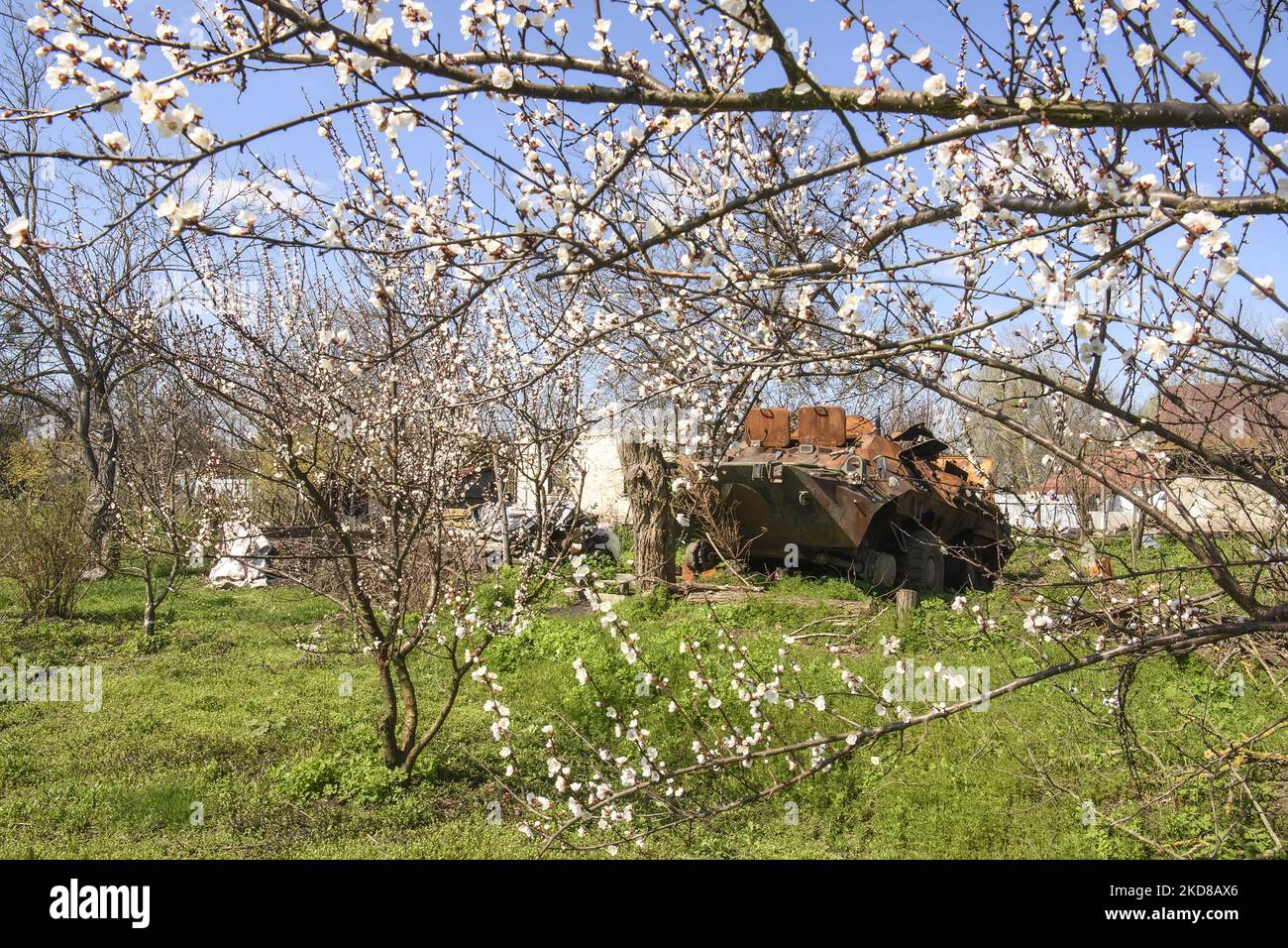 Destroyed russian military machinery near residental house in Nova ...
