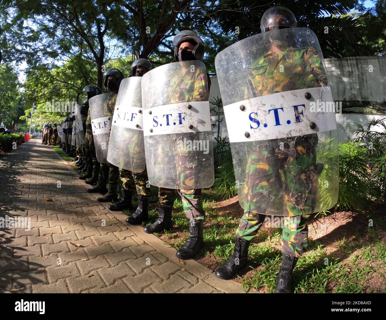 Sri Lankan STF police officers stand guard as Sri Lankan university ...