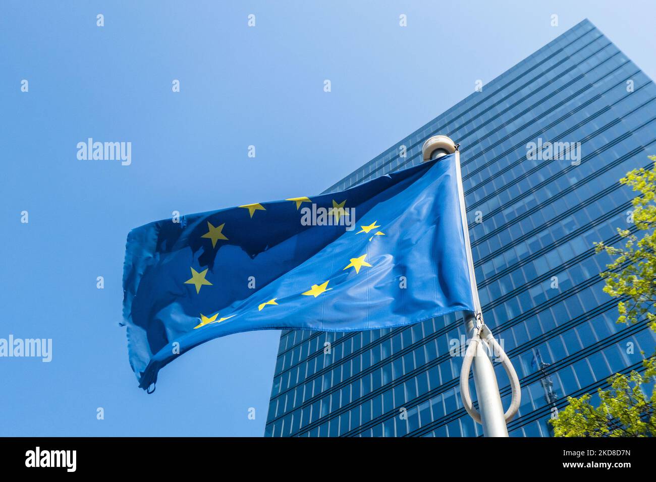 Flag of Europe on flagpole waving in the blue sky on a sunny day among ...