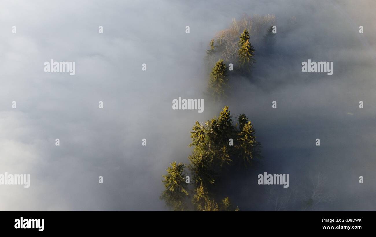 An aerial view of a natural landscape at fog Stock Photo - Alamy