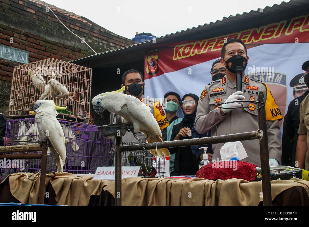 Police officers and members of the nature conservation agency (BKSDA ...