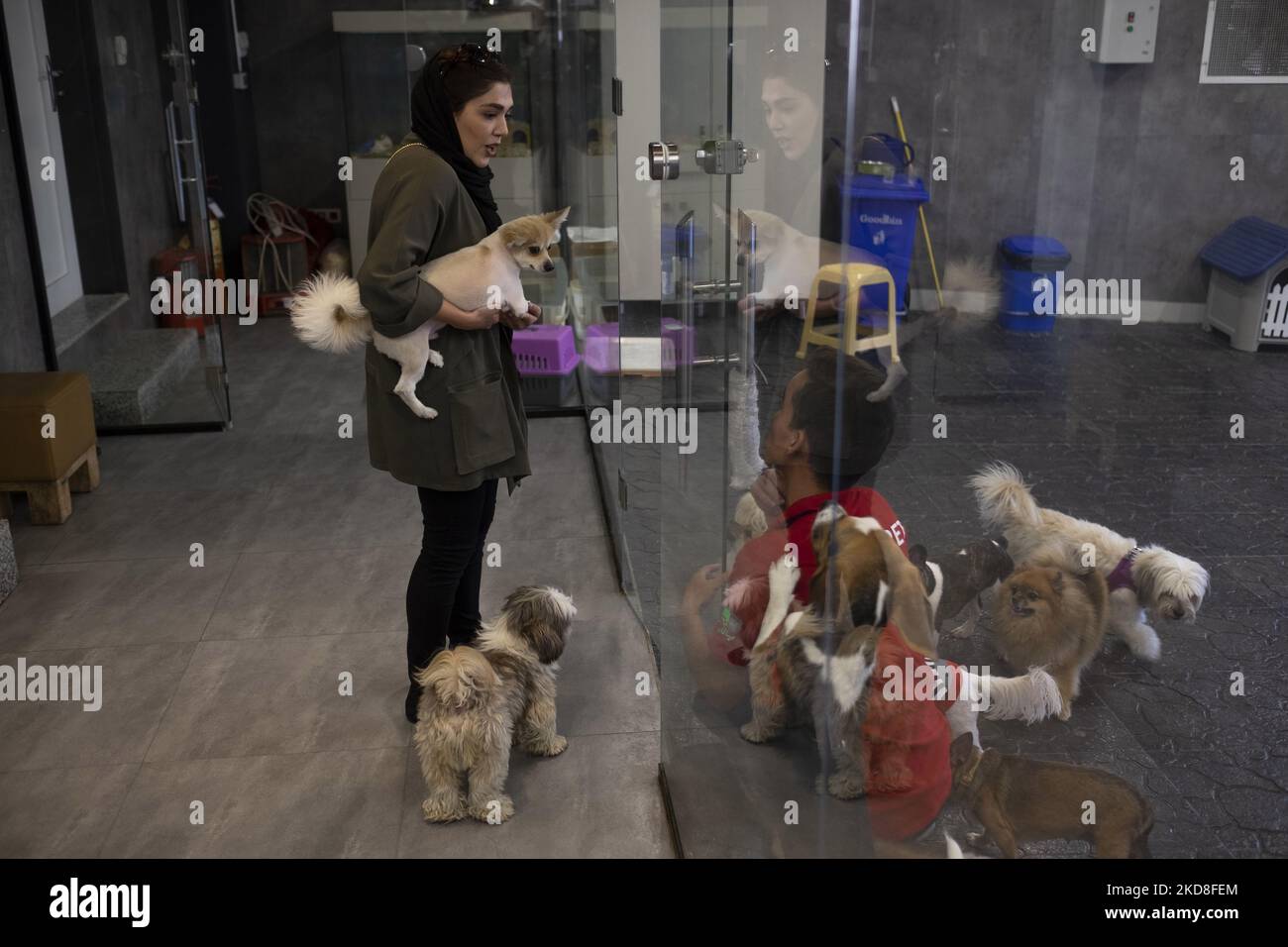 An Iranian woman talks to an employee as she carries her puppy while ...