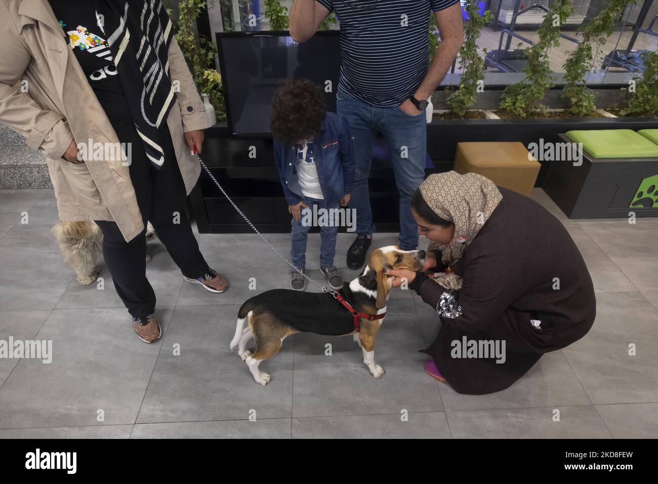 An Iranian woman looks on a puppy at the Pallapet petshop at Palladium ...
