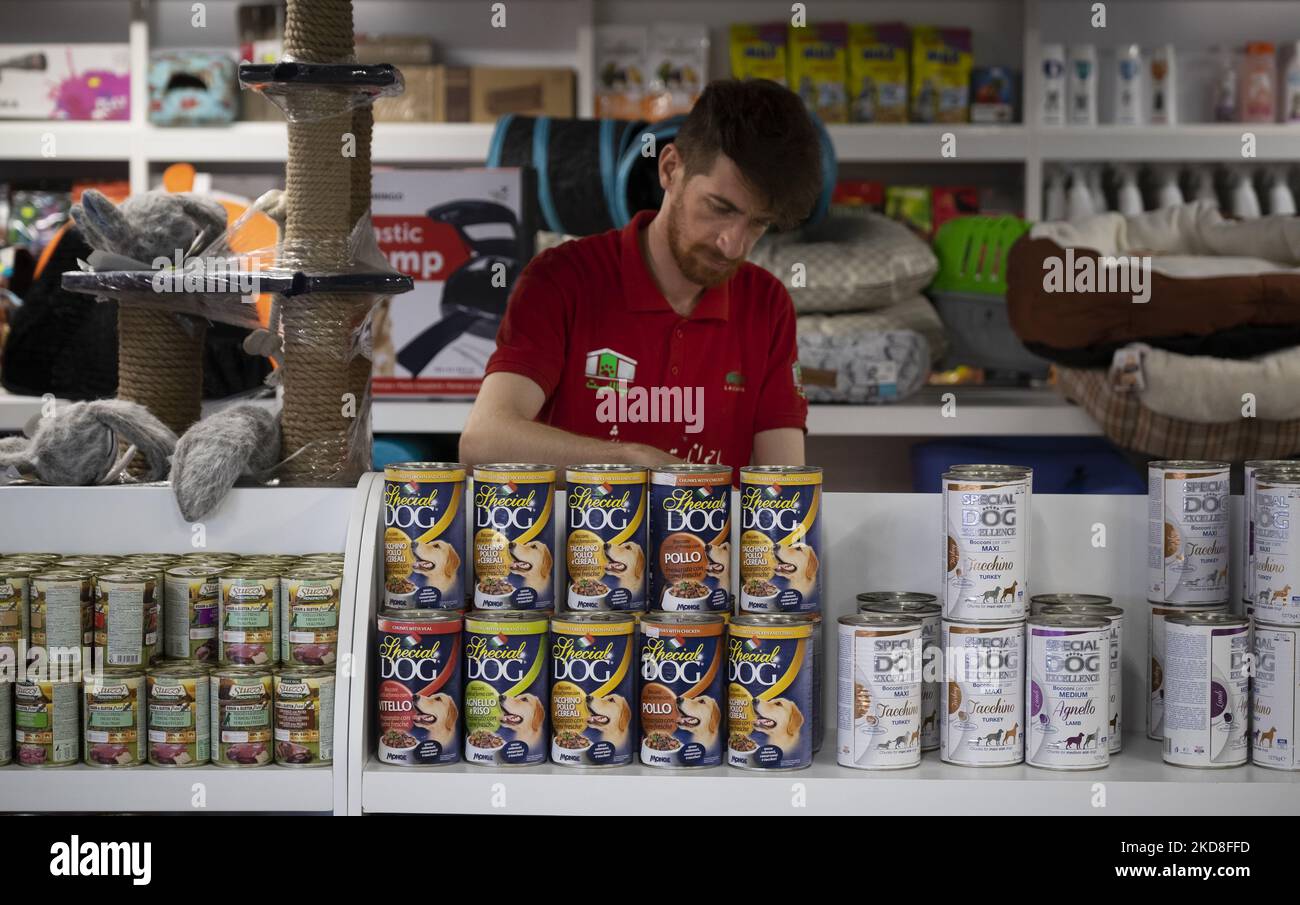 An Iranian employee adjusts dog food canisters at the Pallapet petshop ...