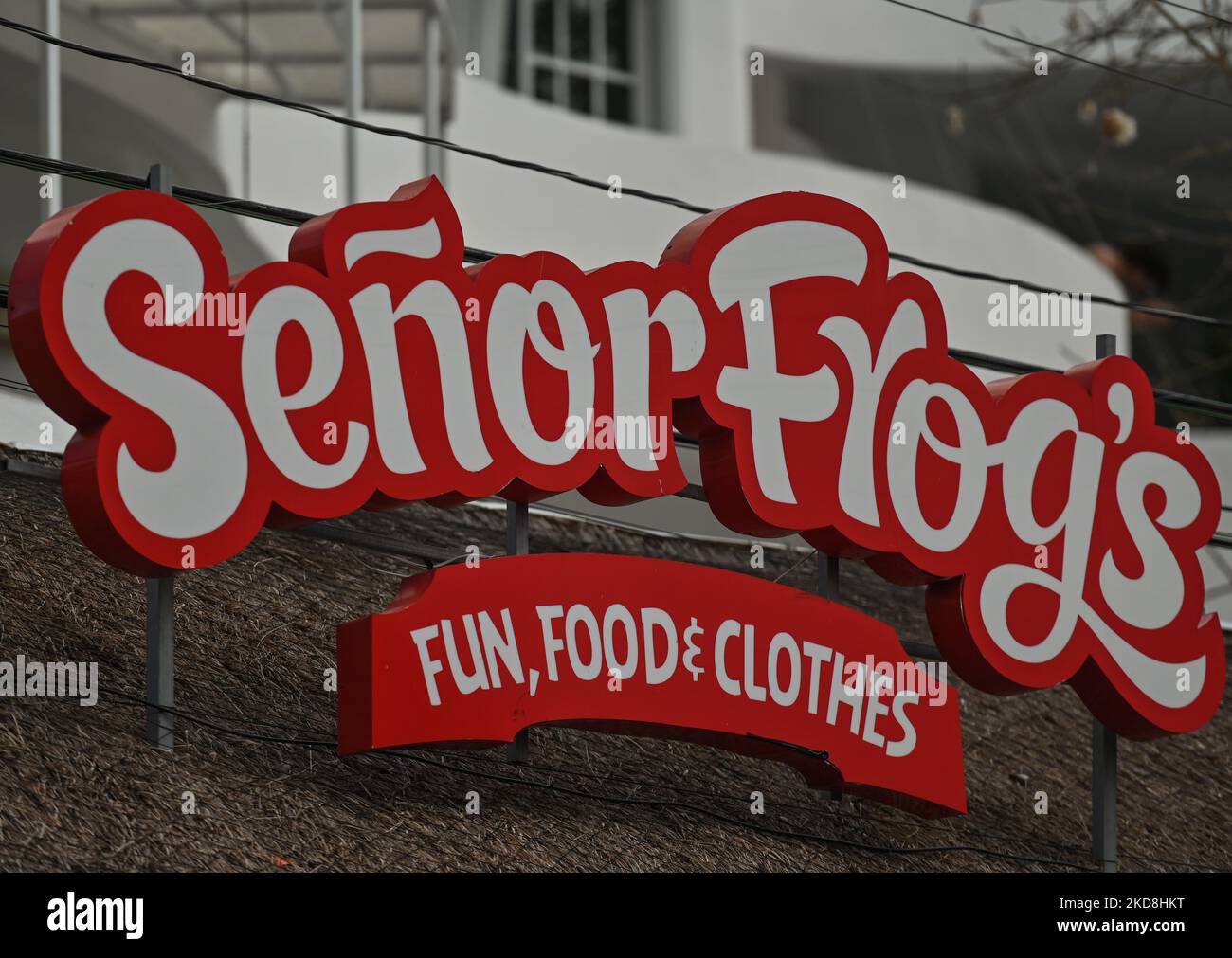 Senir frogs hi-res stock photography and images - Alamy