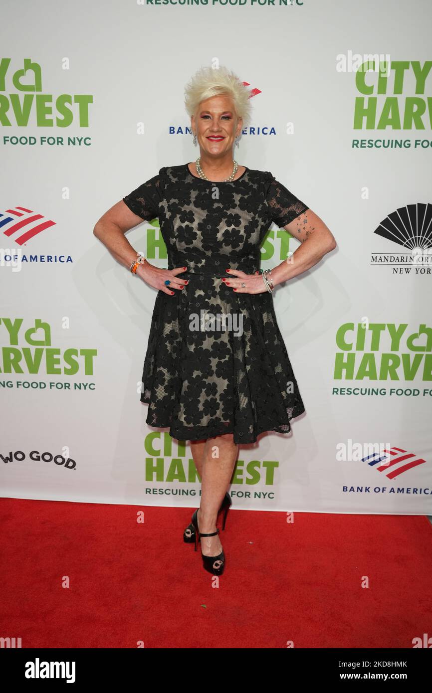 NEW YORK, NEW YORK - APRIL 26: Anne Burrell attends the City Harvest ...
