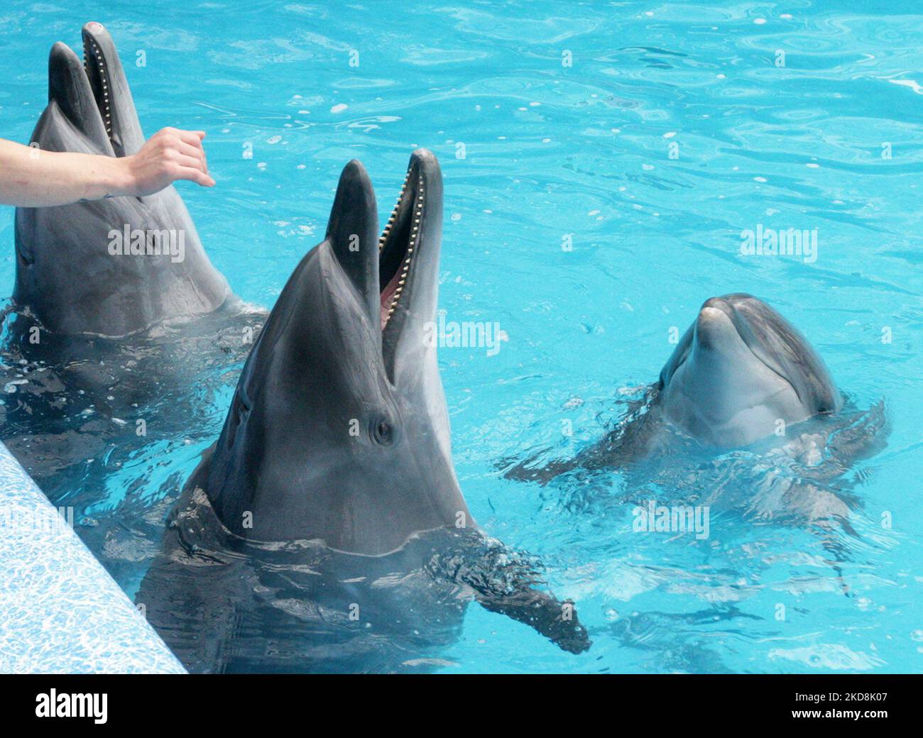 Evacuated pool hi-res stock photography and images - Alamy