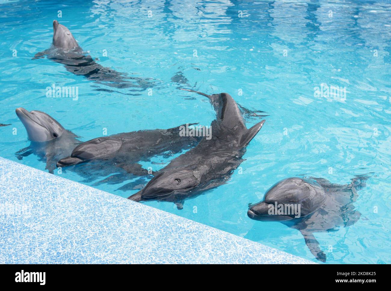 Special tubs hi-res stock photography and images - Alamy