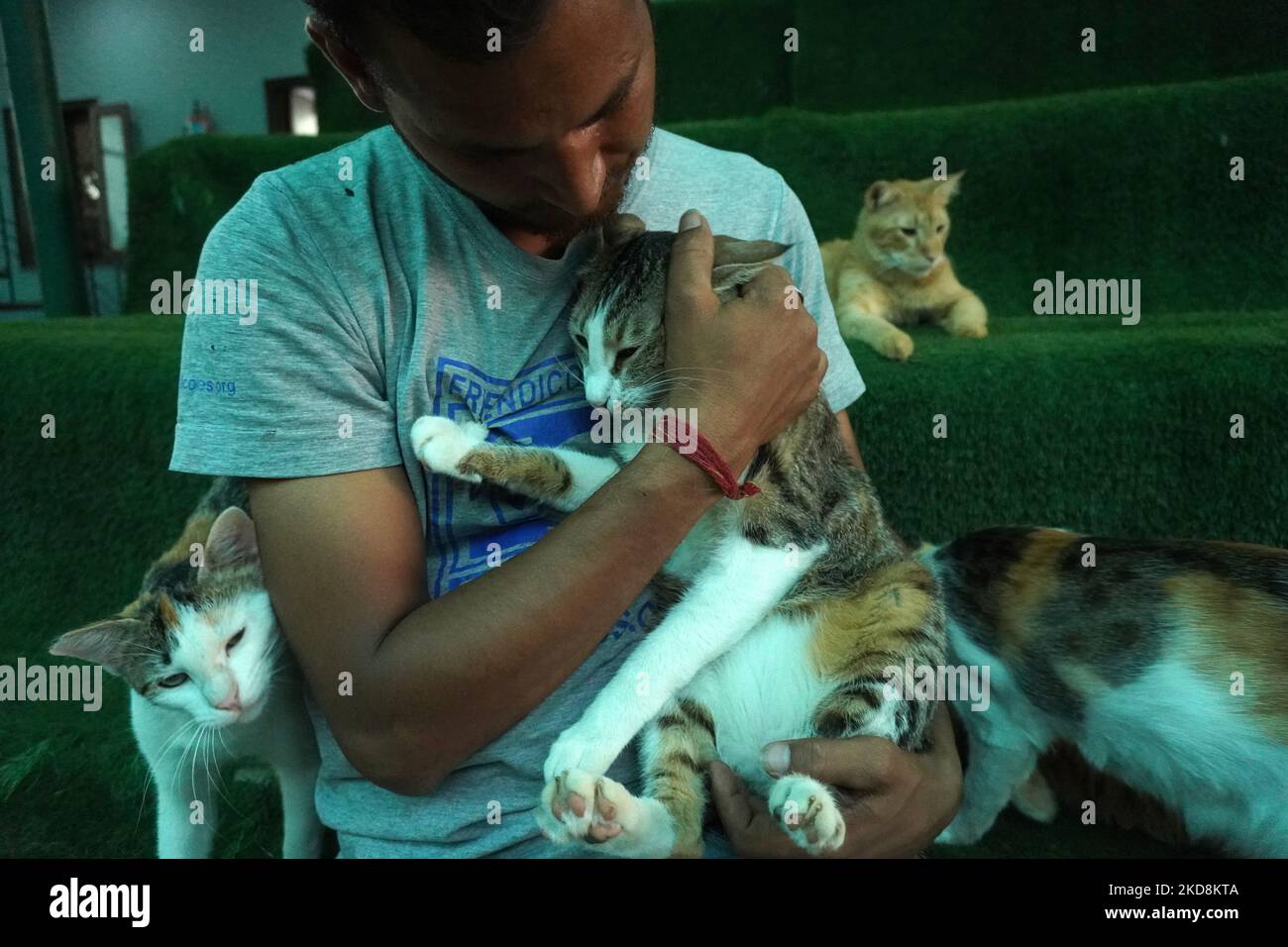 Para veterinary worker hi-res stock photography and images - Alamy