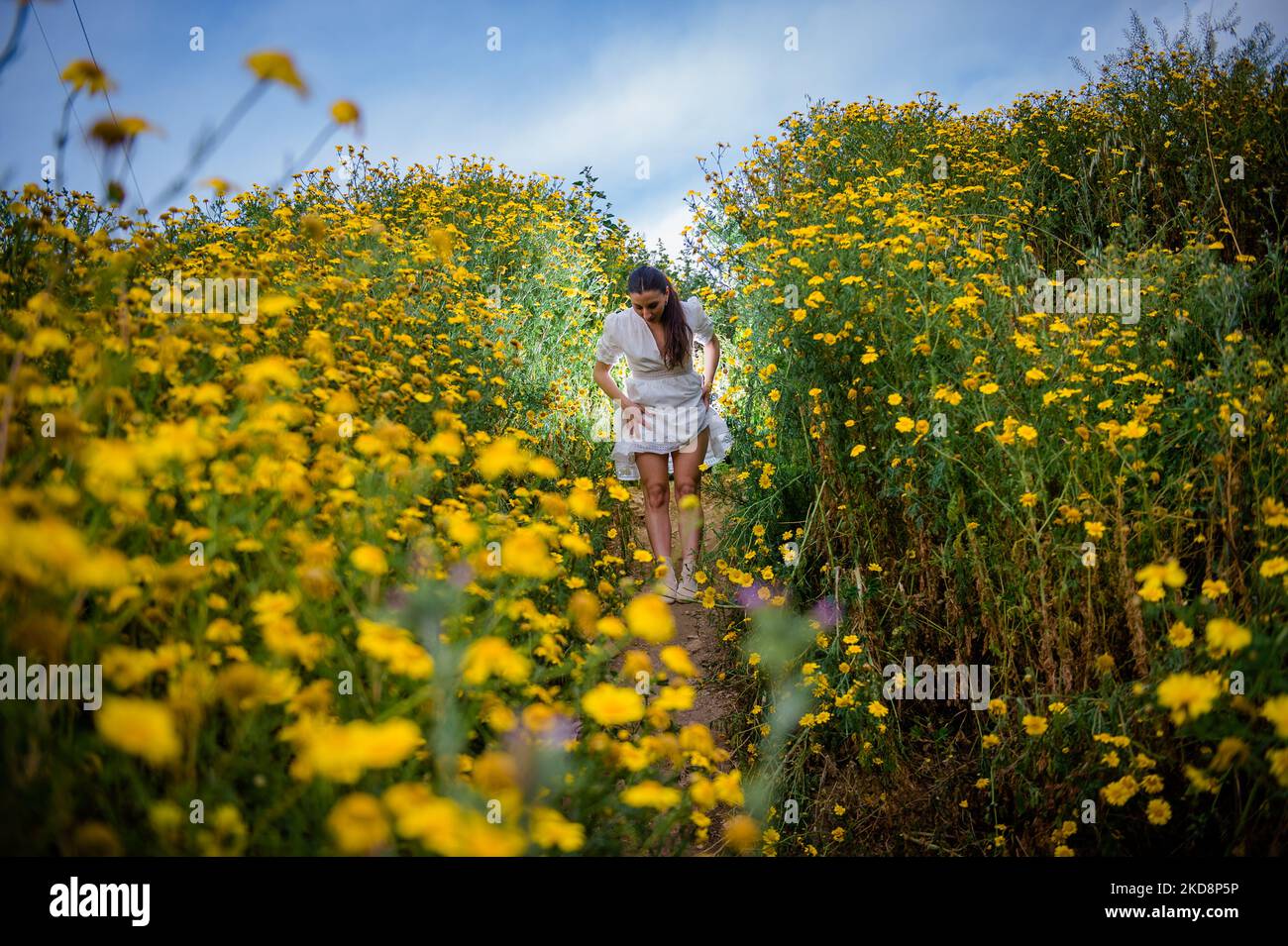 Lama martina natural park hi-res stock photography and images - Alamy