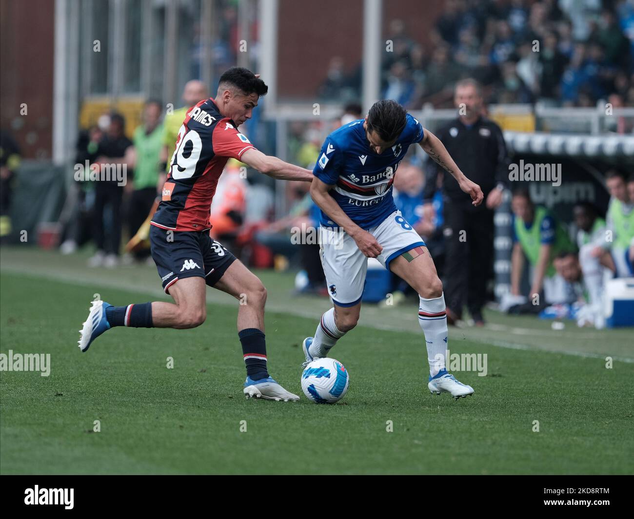 Pablo Galdames during the Serie A match between Sampdoria v Genoa, in ...