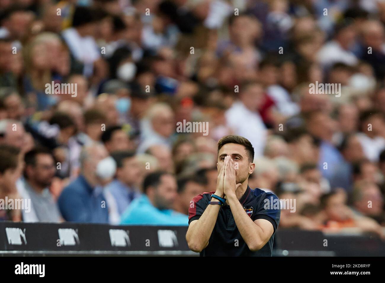Alessio Lisci head coach of Levante UD reacts during the La Liga ...