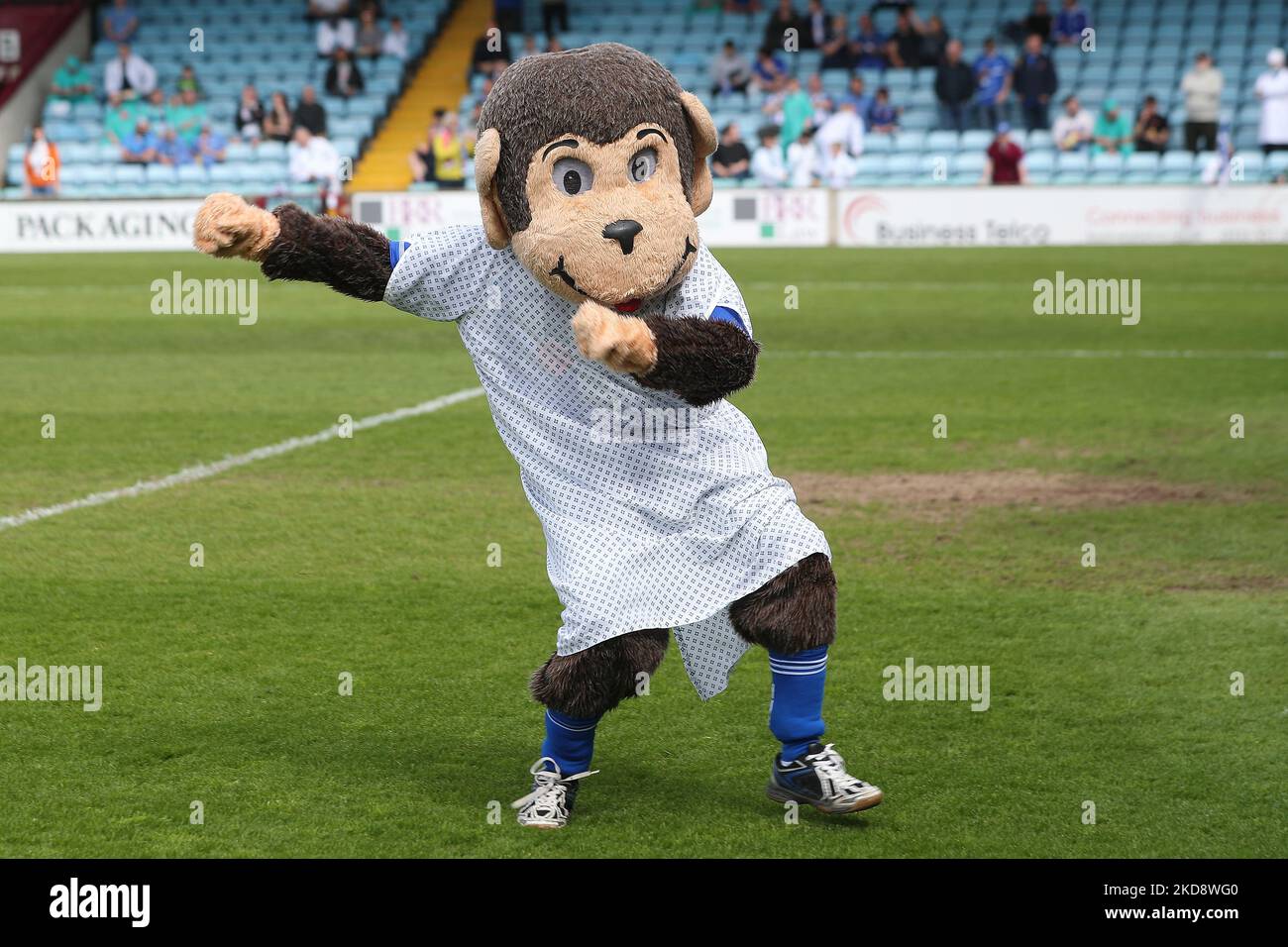 Hartlepool united mascot hi-res stock photography and images - Alamy
