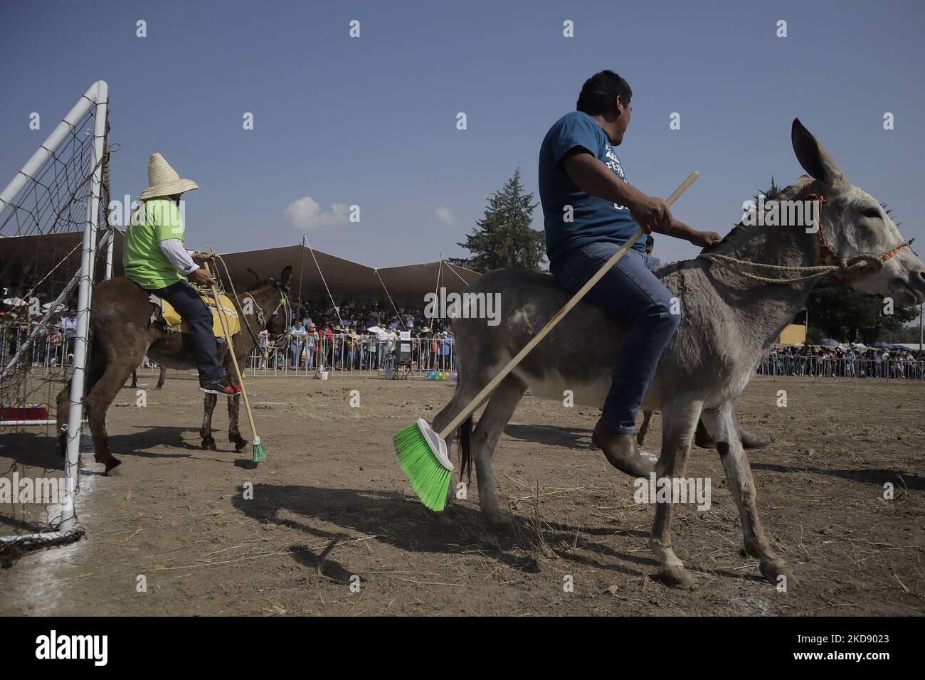 A game of donkey polo at the Donkey Fair on the occasion of ...